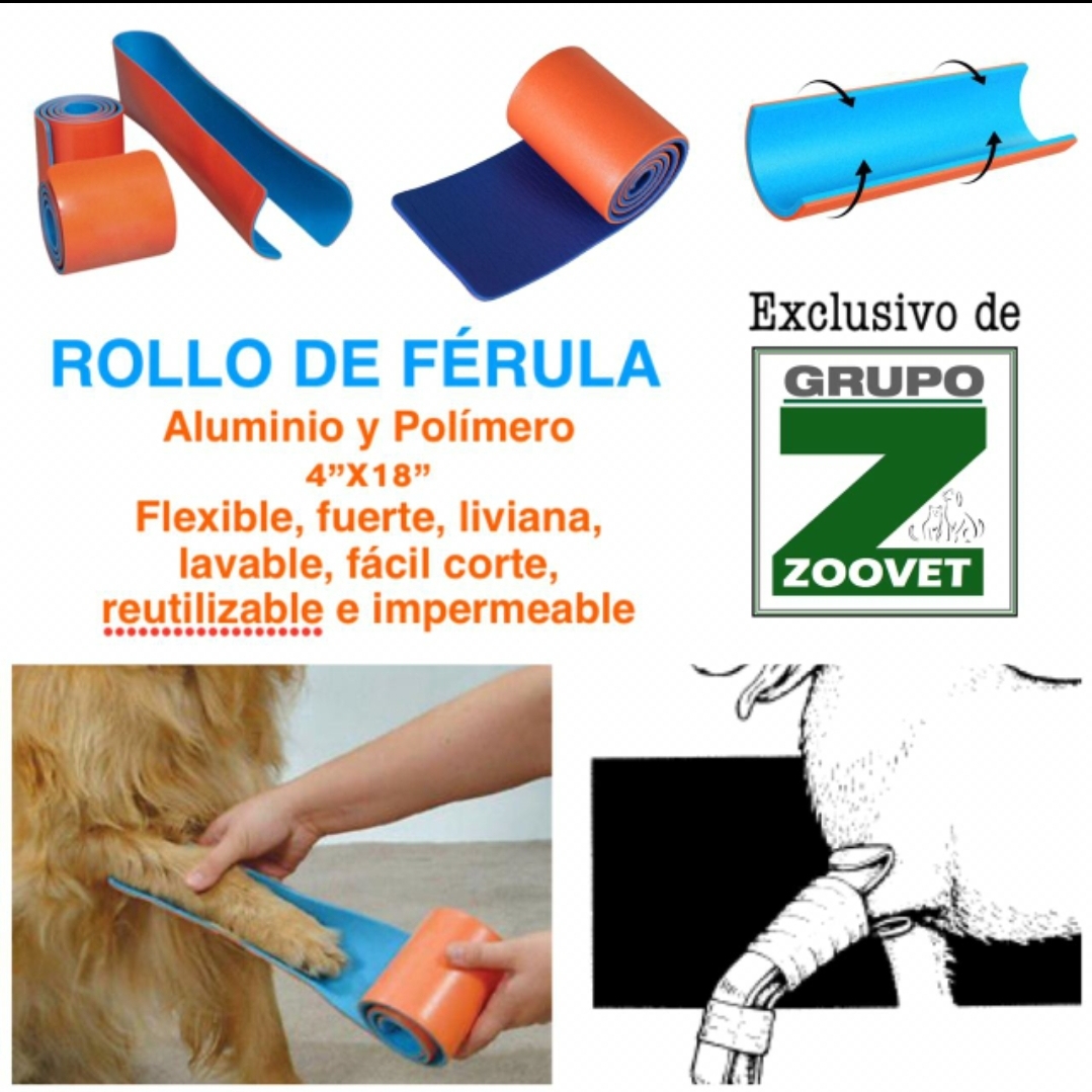 Rollo de Férula